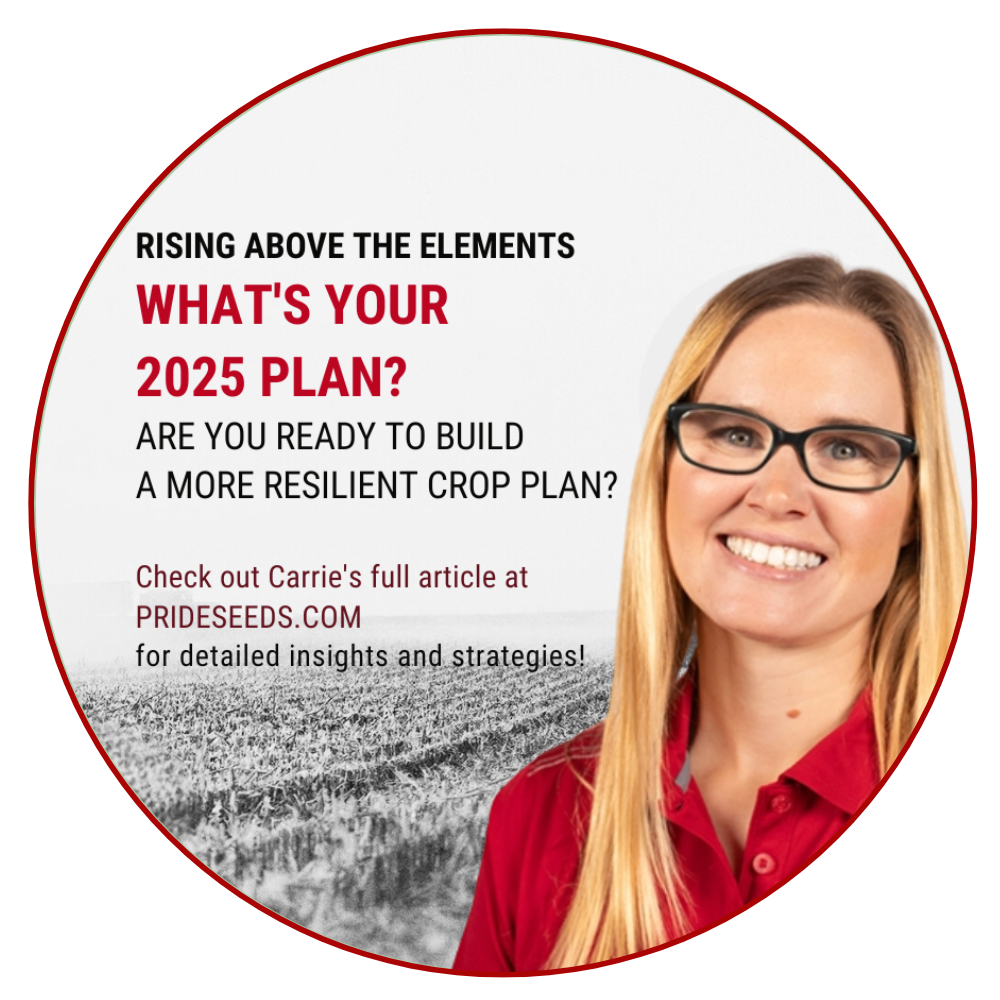 Home [prideseeds.com]